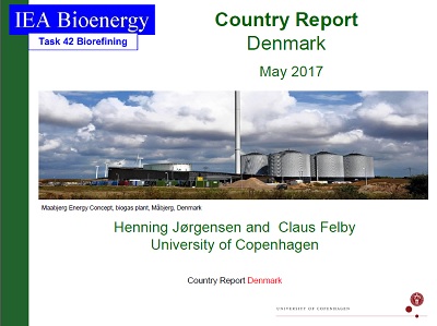 Denmark Country Report 2017 | Task42